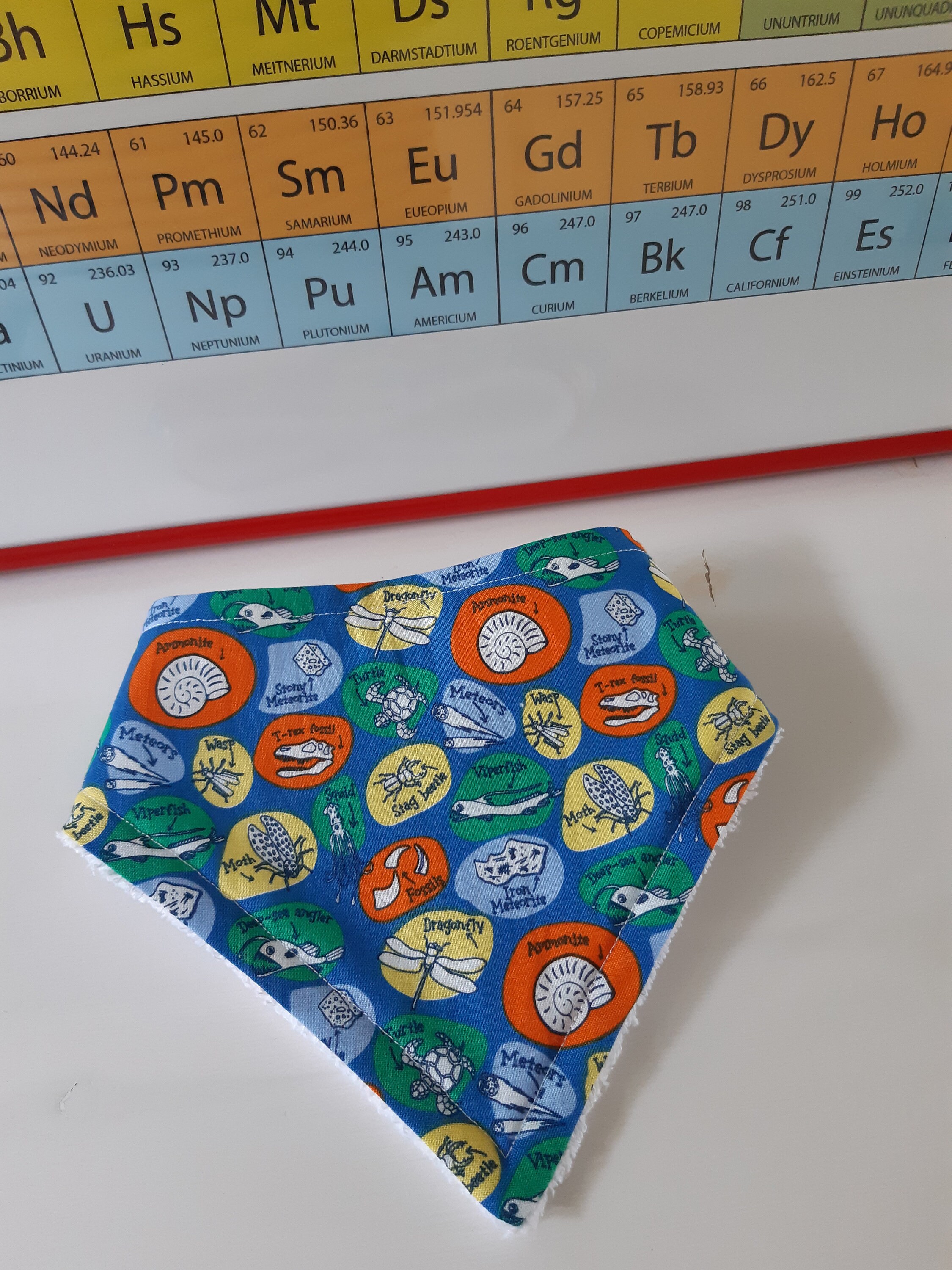Set of 5 Science STEM Baby Bandana Bibs - Etsy