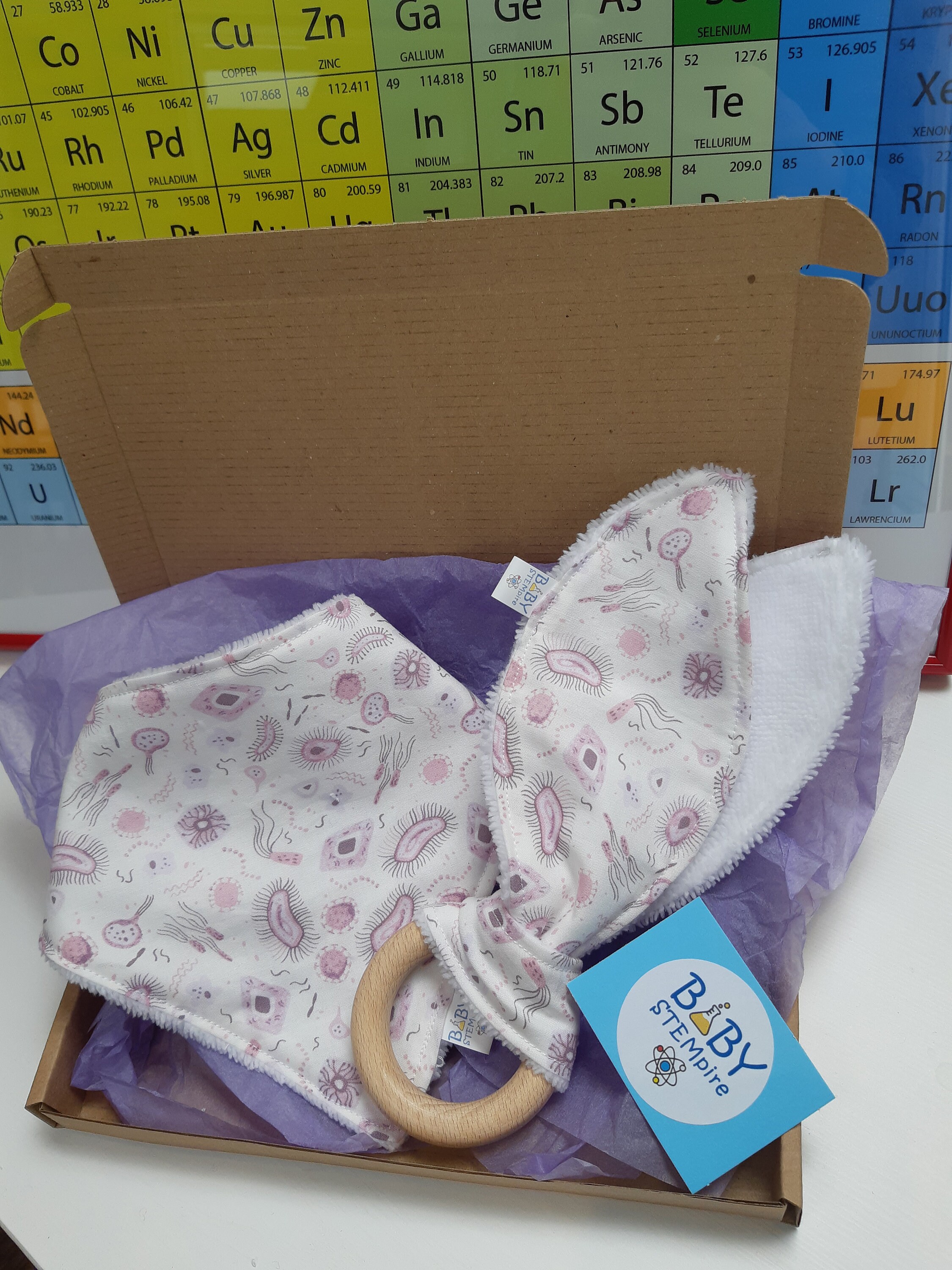 Microbes and Bacteria Stem-themed Baby Teether for the Future - Etsy