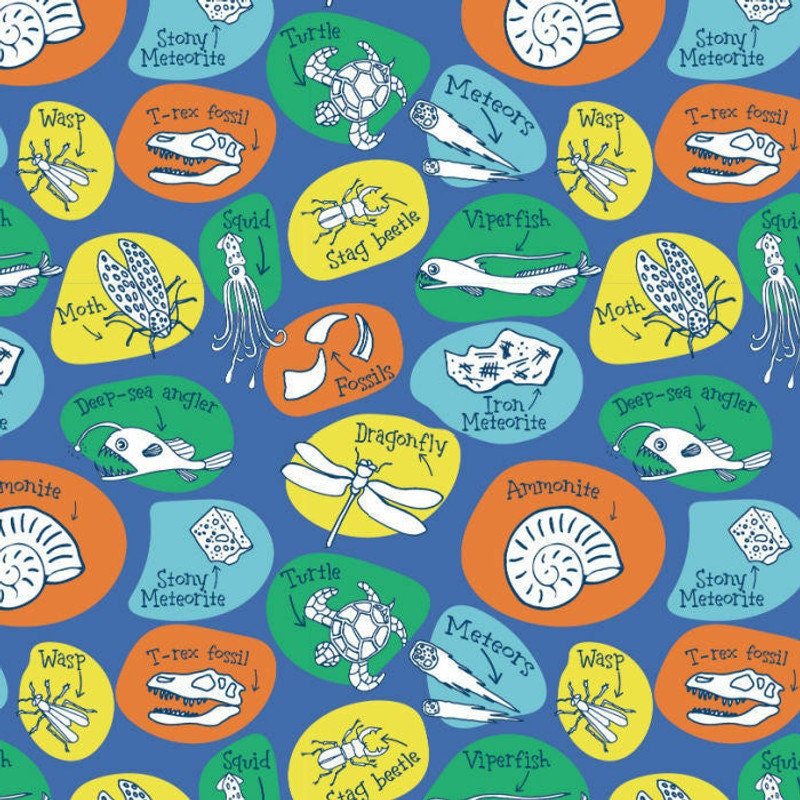 Set of 5 Science STEM Baby Bandana Bibs - Etsy