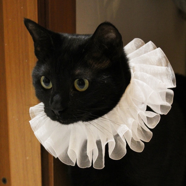 Ruff Collar - Etsy