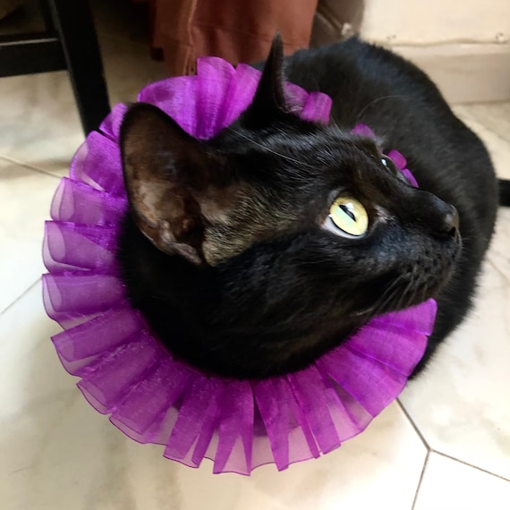 Ruff Collar for Cat | Etsy