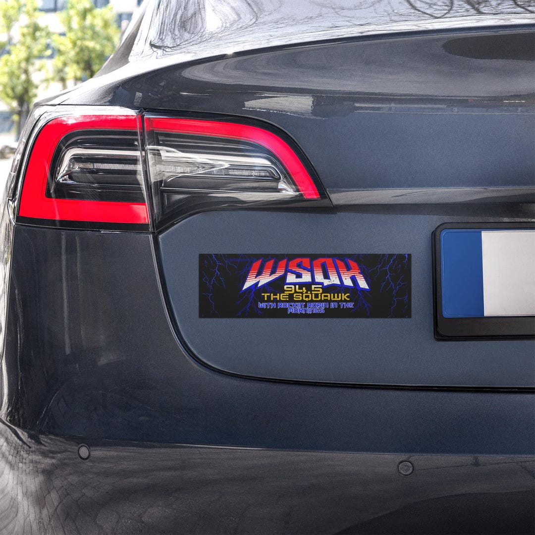 WSQK the Squawk Steve Harrington, Bumper Sticker, Robin, Metal Rock ...