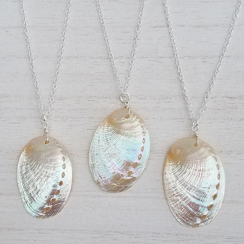 Seashell Necklace - Etsy