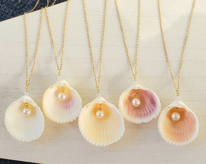 Real Natural Yellow Pink Clam Shell Seashell Scallop Florida - Etsy