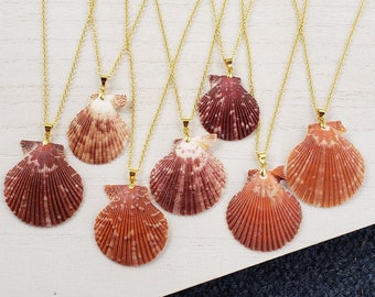 Real Seashell Necklace | Etsy
