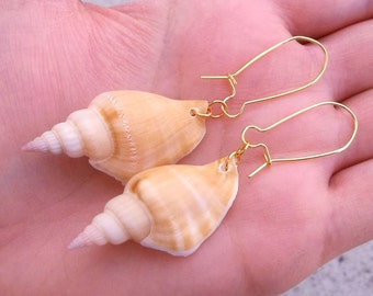 Conch Shell Earrings | Etsy