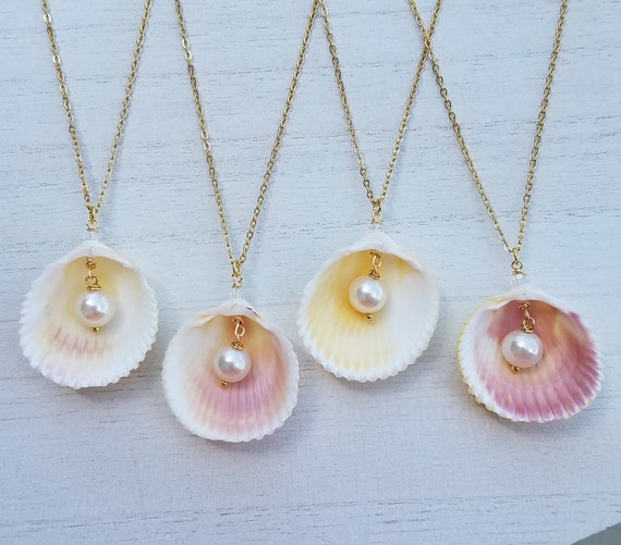 Real Natural Yellow Pink Clam Shell Seashell Scallop Florida | Etsy
