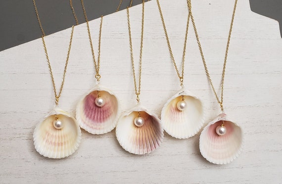 Real Natural Yellow Pink Clam Shell Seashell Scallop Florida - Etsy