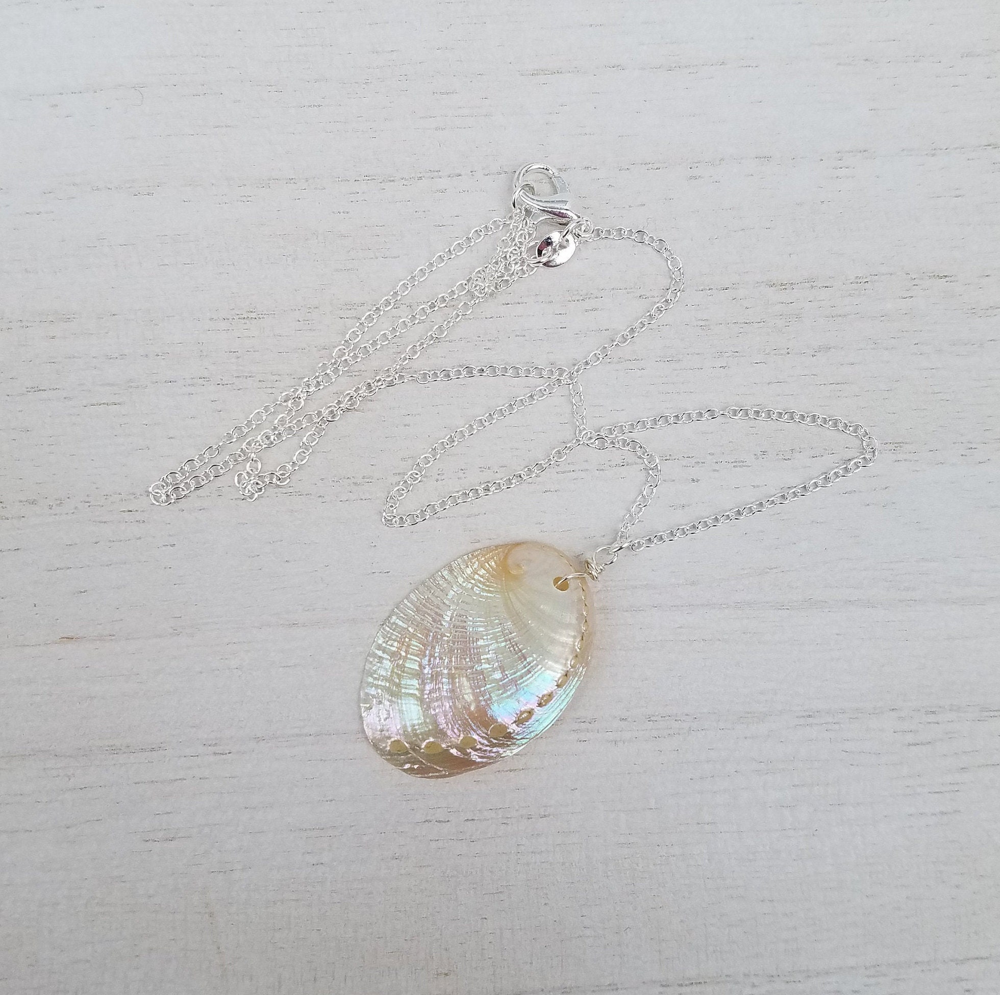 Real Natural Aura Pearlized Iridescent Rainbow Abalone Shell | Etsy