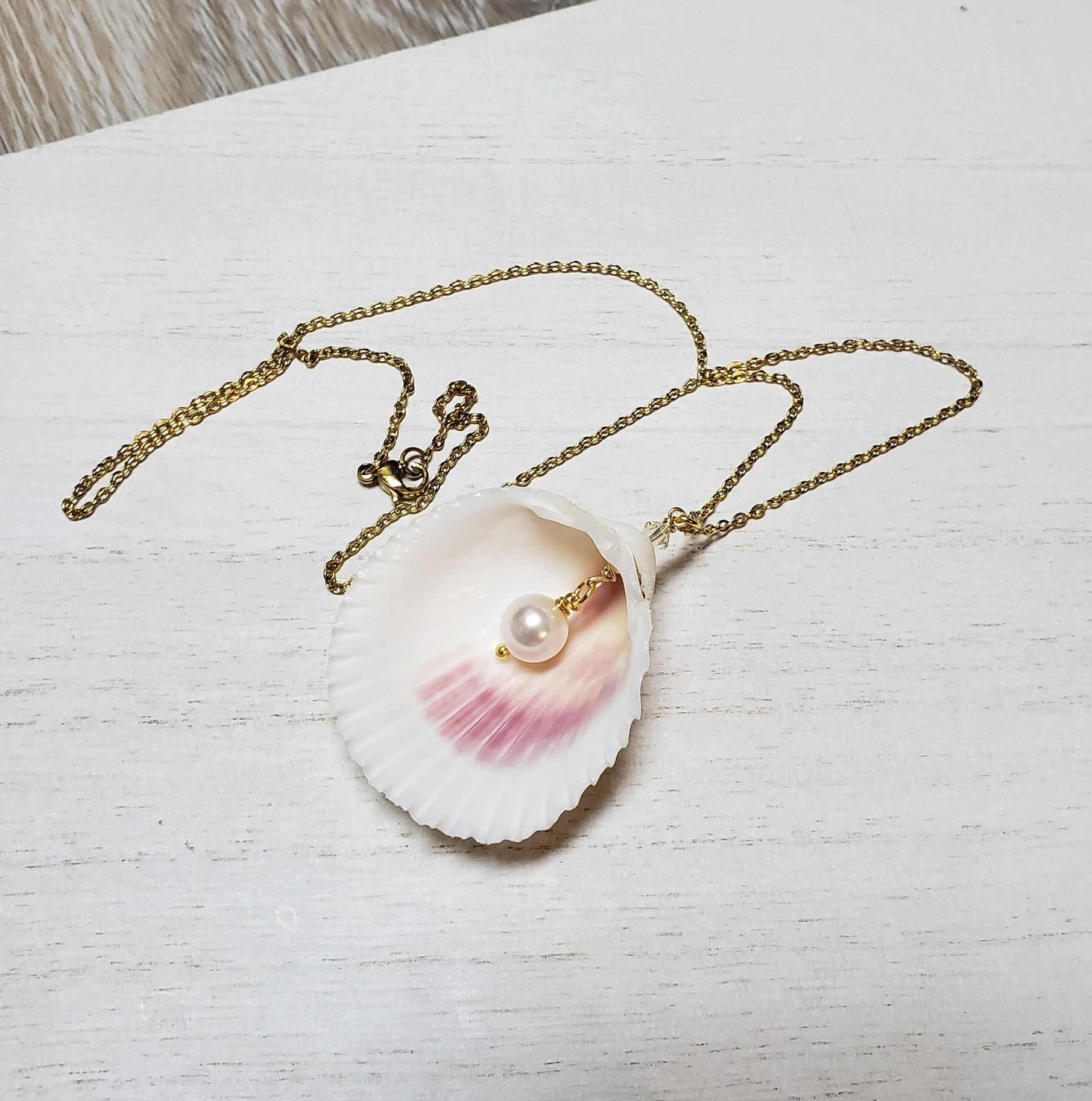 Real Natural Yellow Pink Clam Shell Seashell Scallop Florida - Etsy