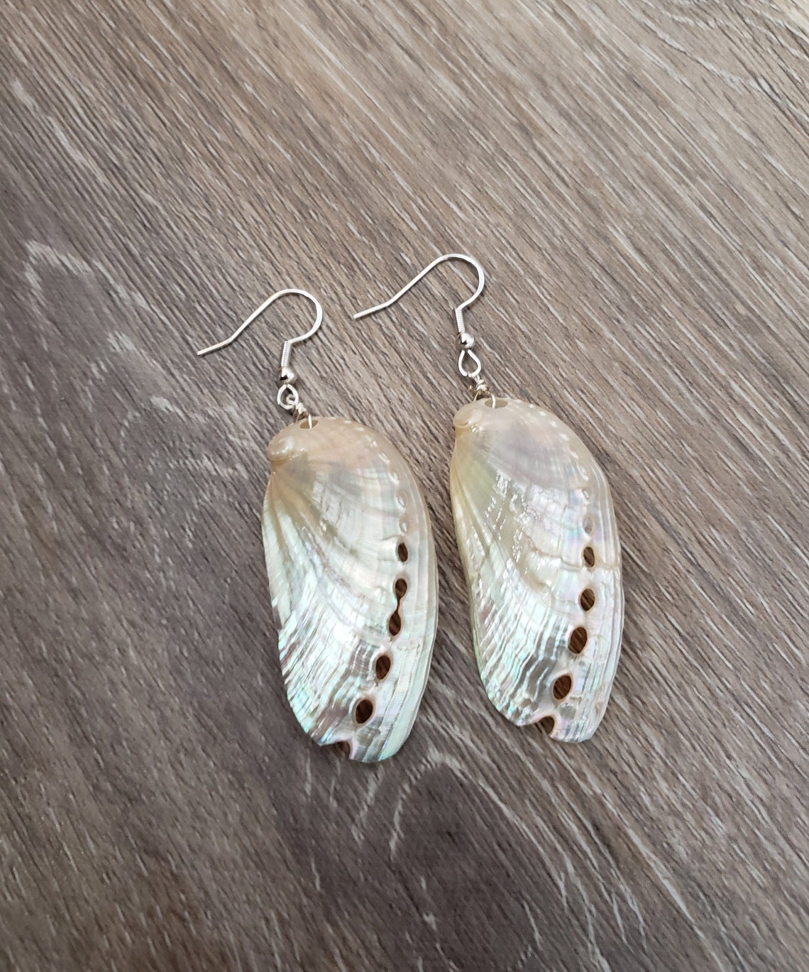 Real Natural Pearlized Polished White Abalone Shell Seashell - Etsy
