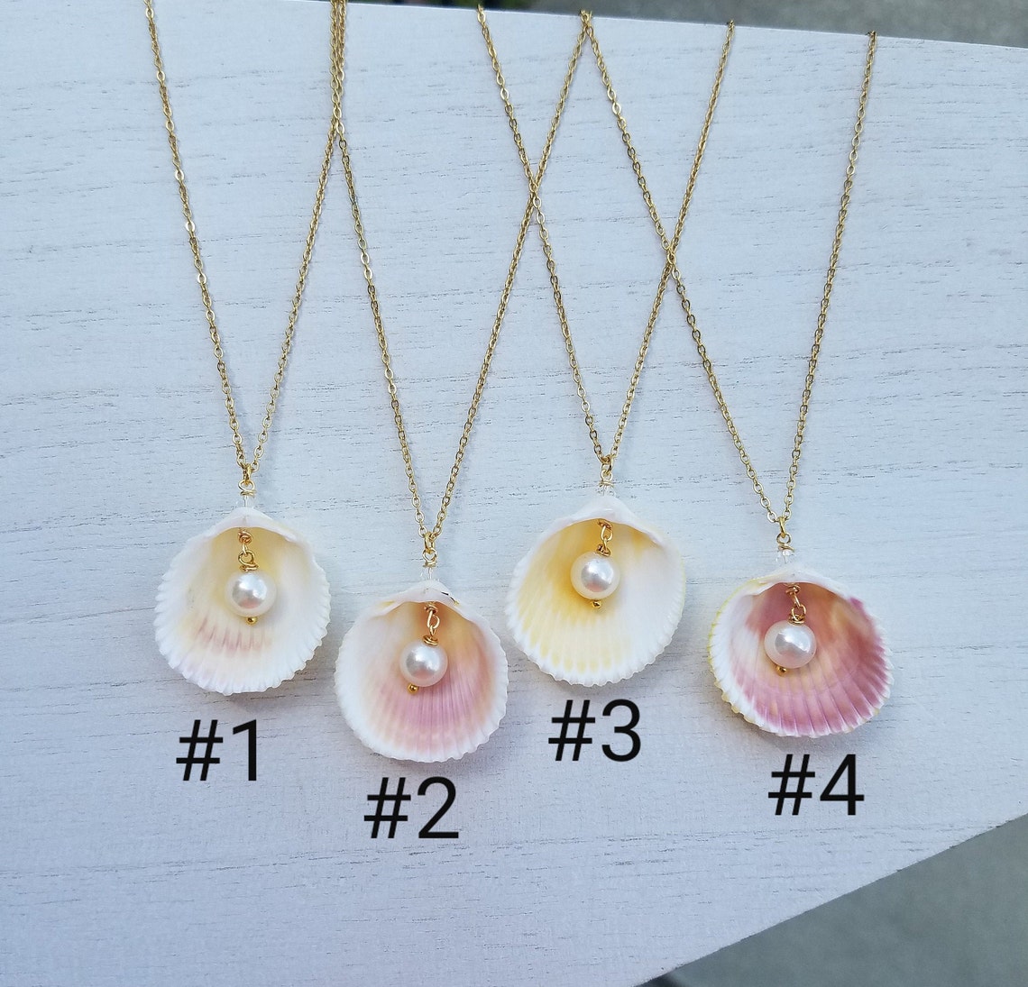 Real Natural Yellow Pink Clam Shell Seashell Scallop Florida | Etsy