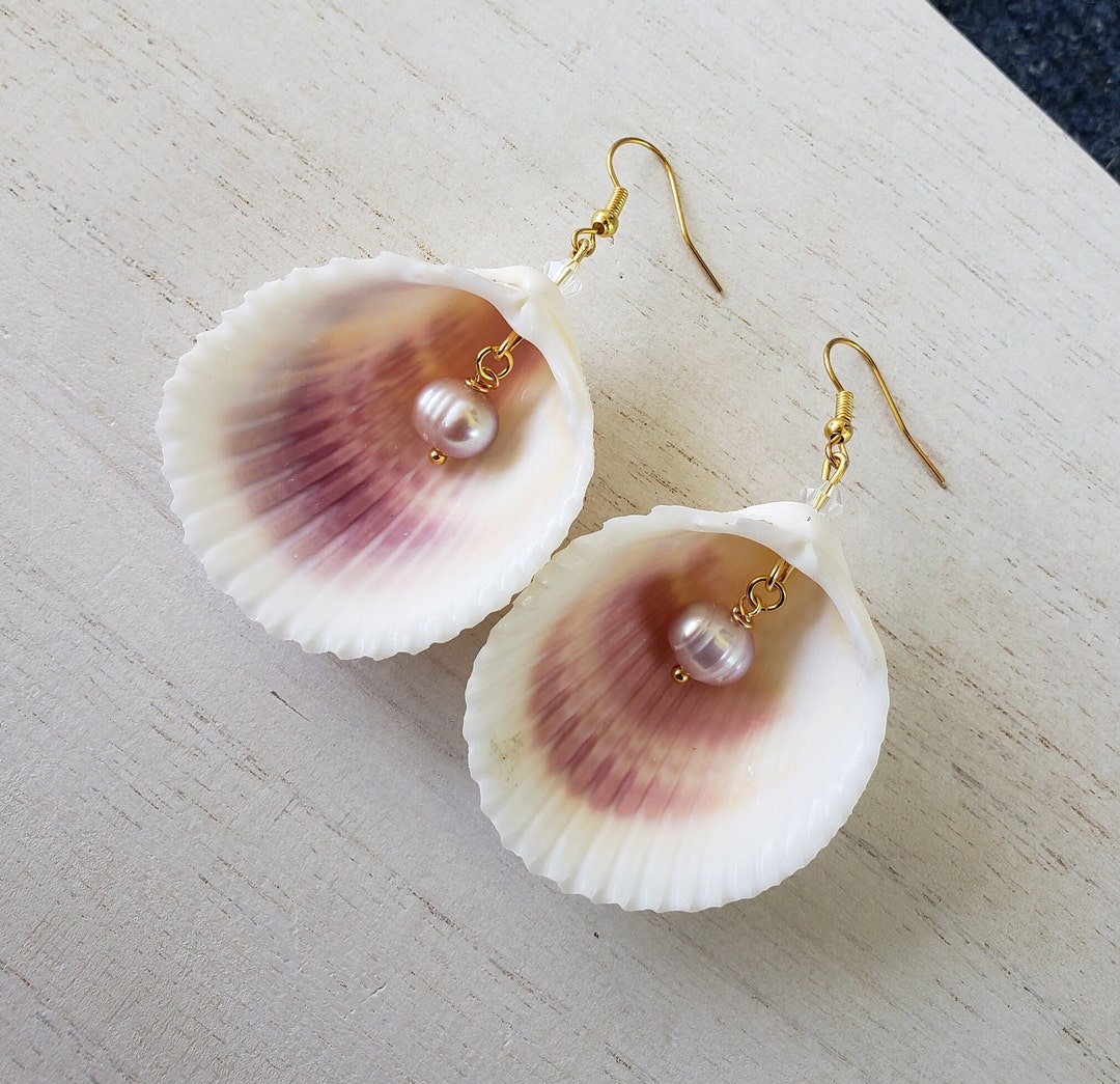 Real Natural Yellow Pink Clam Shell Seashell Scallop Florida Beach ...