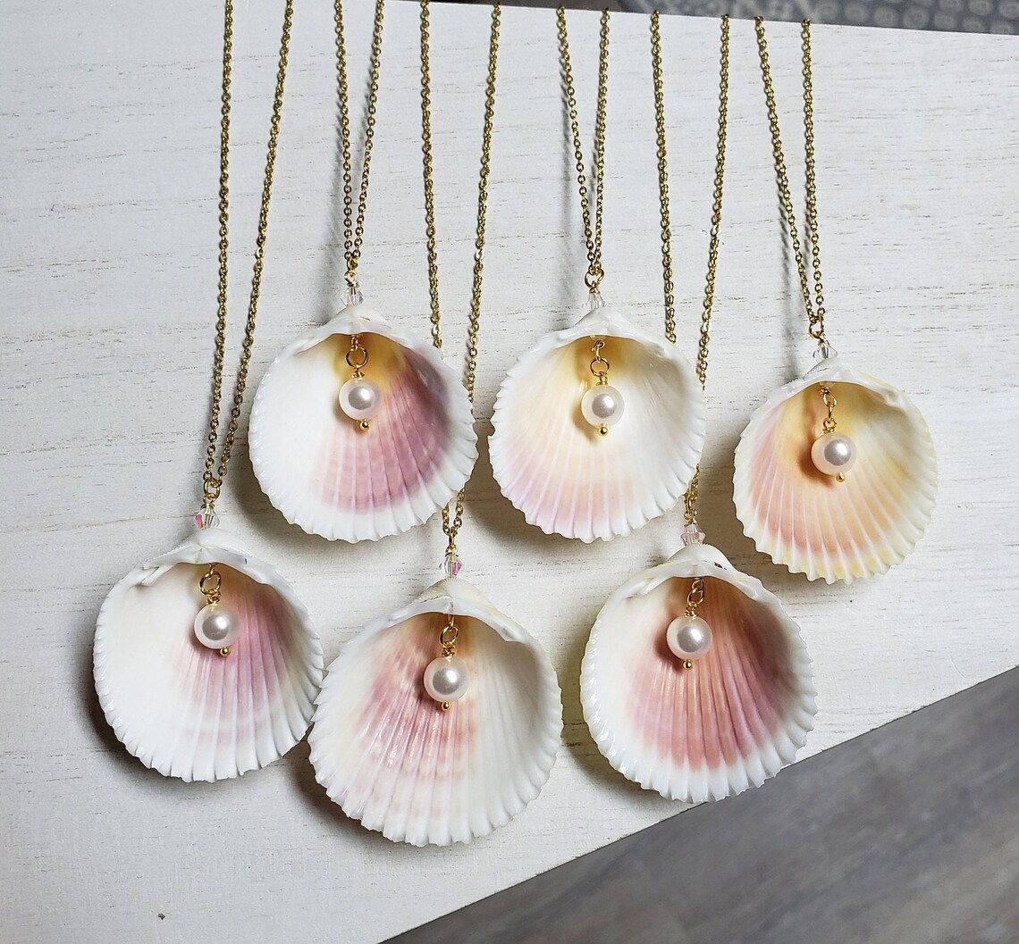 Real Natural Yellow Pink Clam Shell Seashell Scallop Florida - Etsy