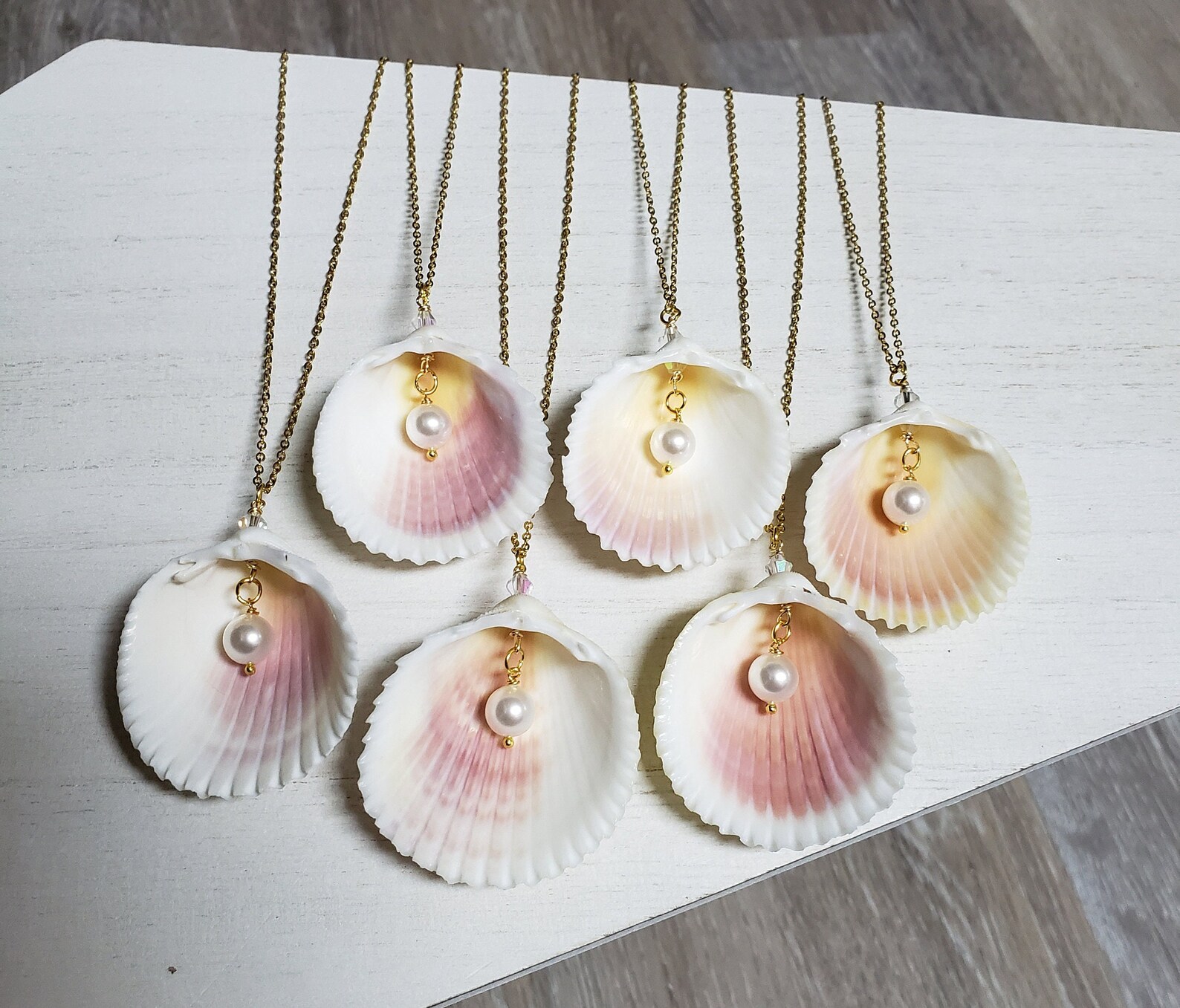 Real Natural Yellow Pink Clam Shell Seashell Scallop Florida - Etsy