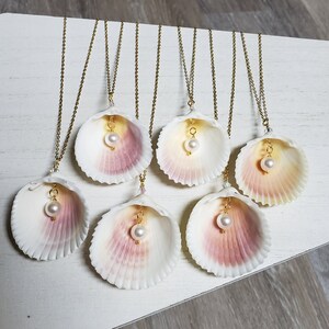 Real Natural Yellow Pink Clam Shell Seashell Scallop Florida - Etsy