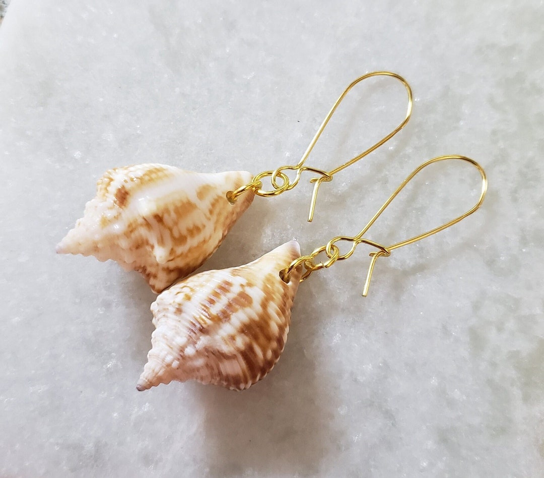 Real Natural Tan Fighting Conch Florida Shell Seashell Horn - Etsy