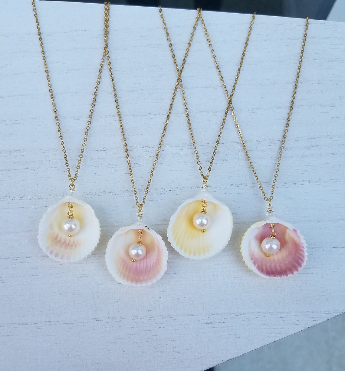 Real Natural Yellow Pink Clam Shell Seashell Scallop Florida | Etsy