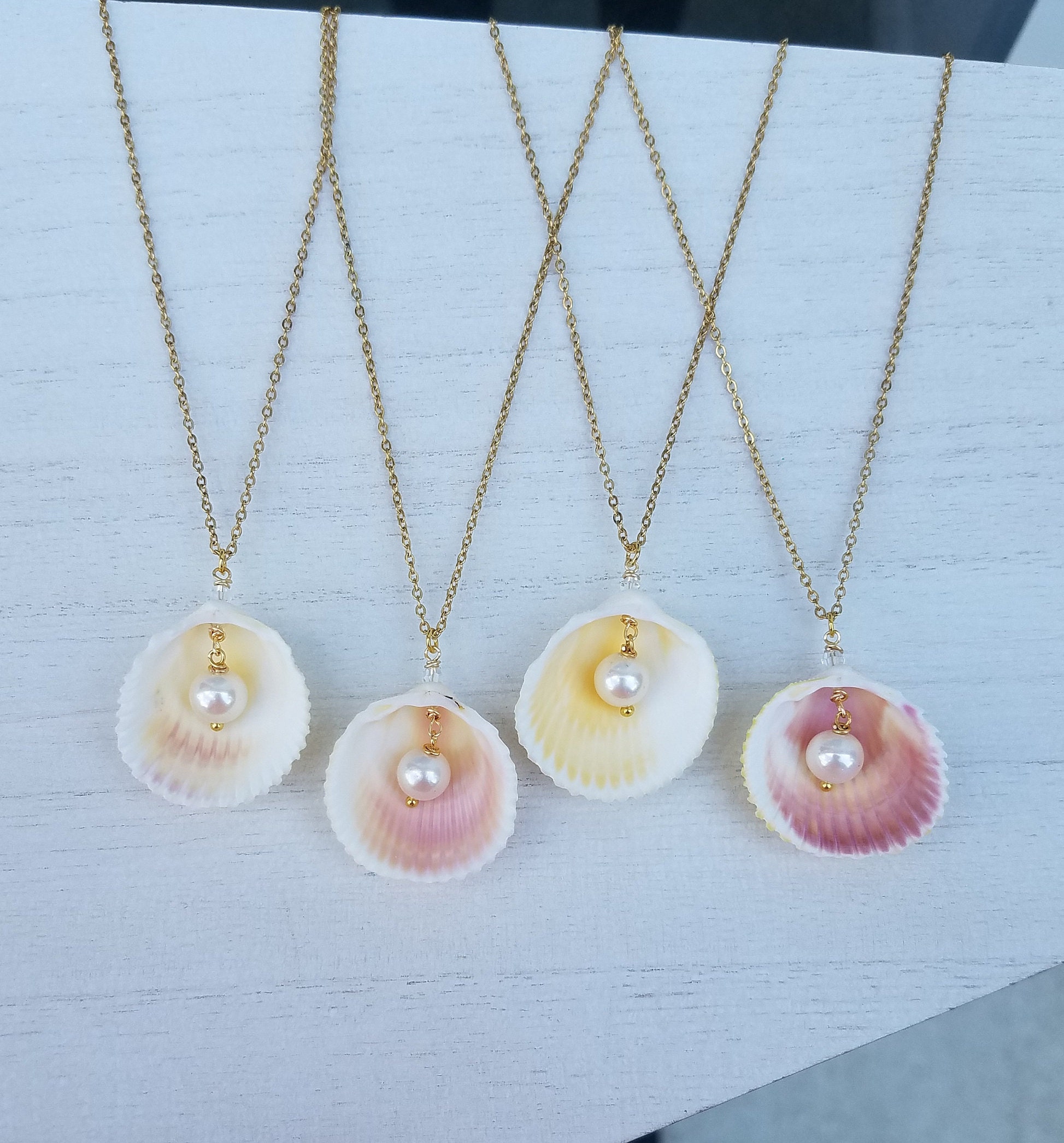 Real Natural Yellow Pink Clam Shell Seashell Scallop Florida | Etsy