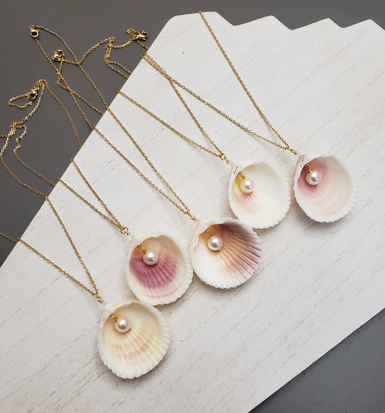Real Natural Yellow Pink Clam Shell Seashell Scallop Florida - Etsy