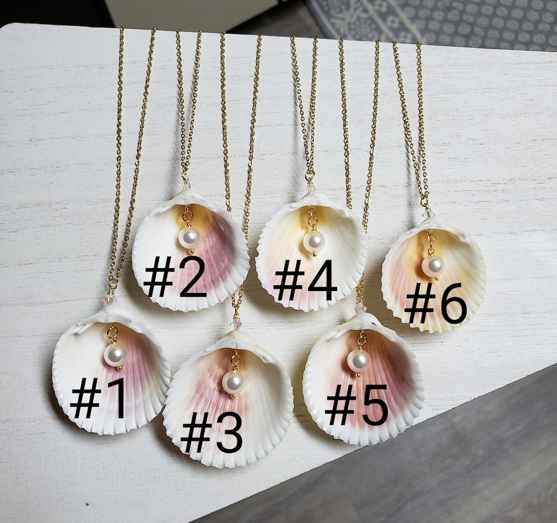 Real Natural Yellow Pink Clam Shell Seashell Scallop Florida - Etsy