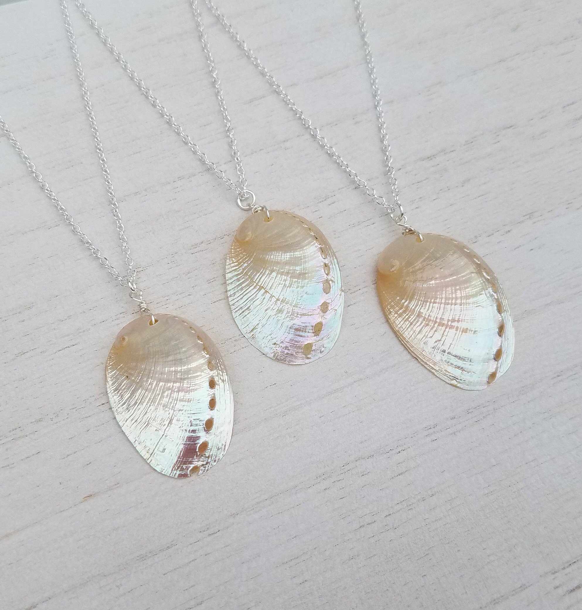 Real Natural Aura Pearlized Iridescent Rainbow Abalone Shell | Etsy