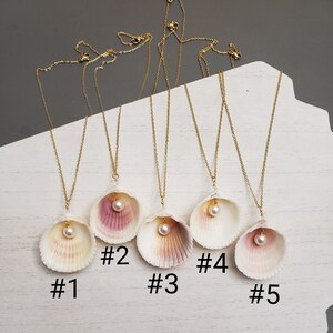 Real Natural Yellow Pink Clam Shell Seashell Scallop Florida - Etsy