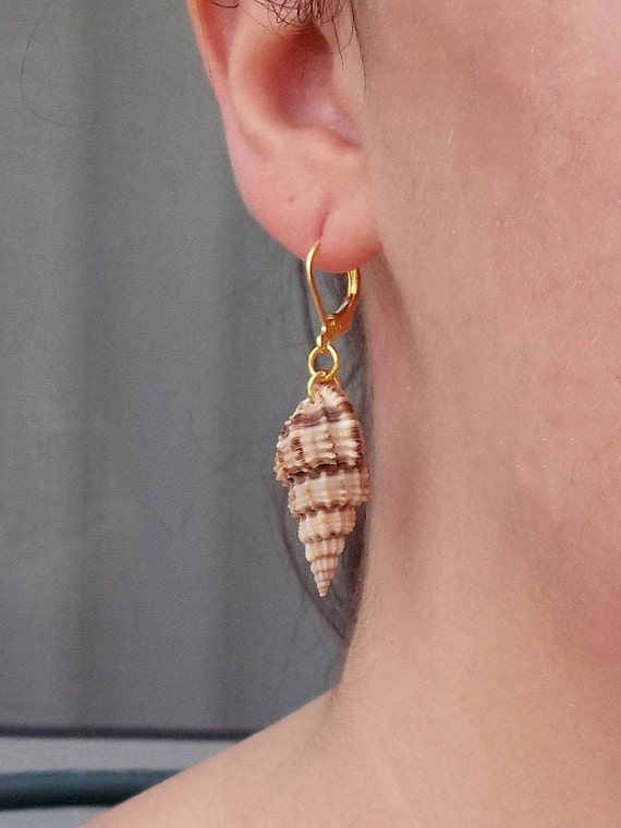Real Natural Tan Cone Conch Shell Seashell Unicorn Horn Ocean | Etsy