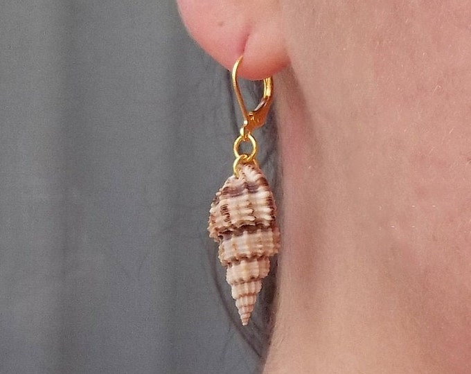 Real Natural Tan Cone Conch Shell Seashell Unicorn Horn Ocean Beach ...