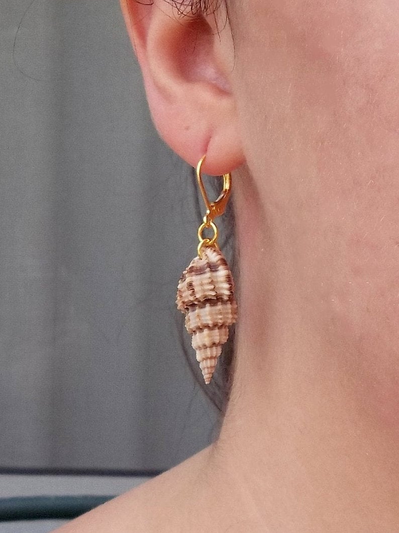 Real Natural Tan Cone Conch Shell Seashell Unicorn Horn Ocean | Etsy