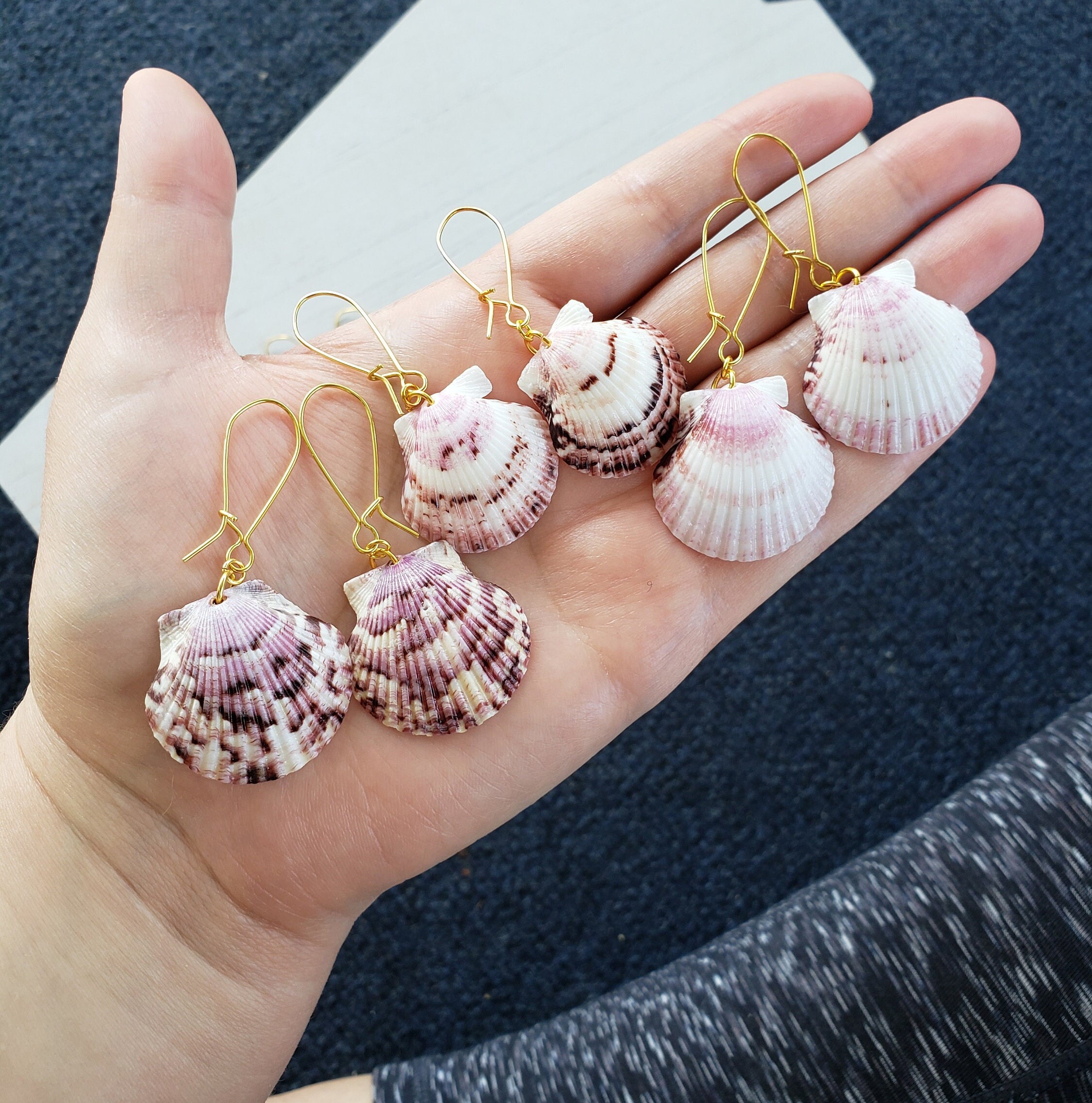 Real Natural Calico Pink Purple Florida Seashell Shell Scallop - Etsy