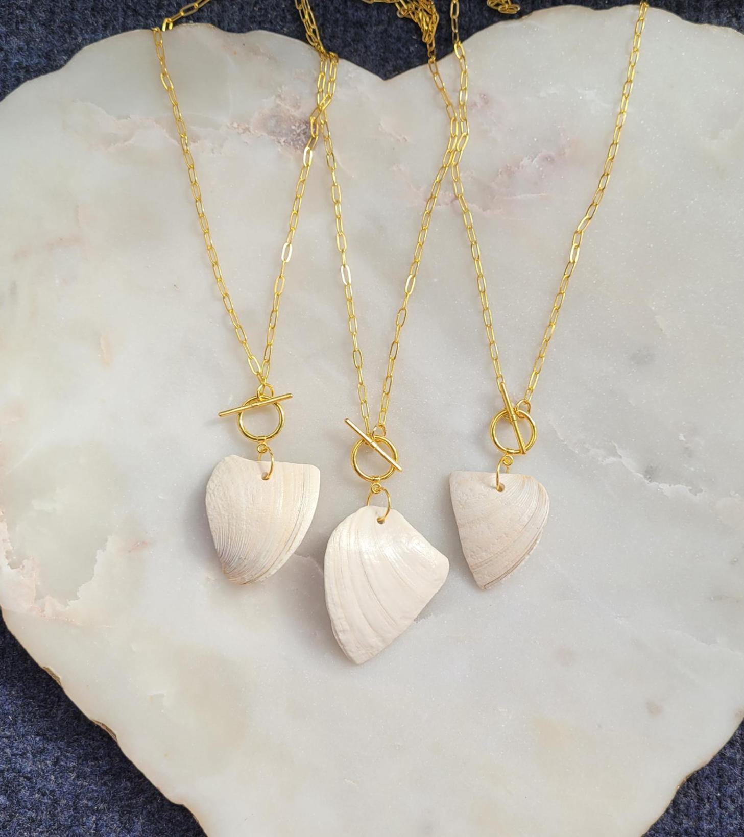 Real Natural White Clam Shell Piece Seashell Shell Ocean Beach Coastal ...