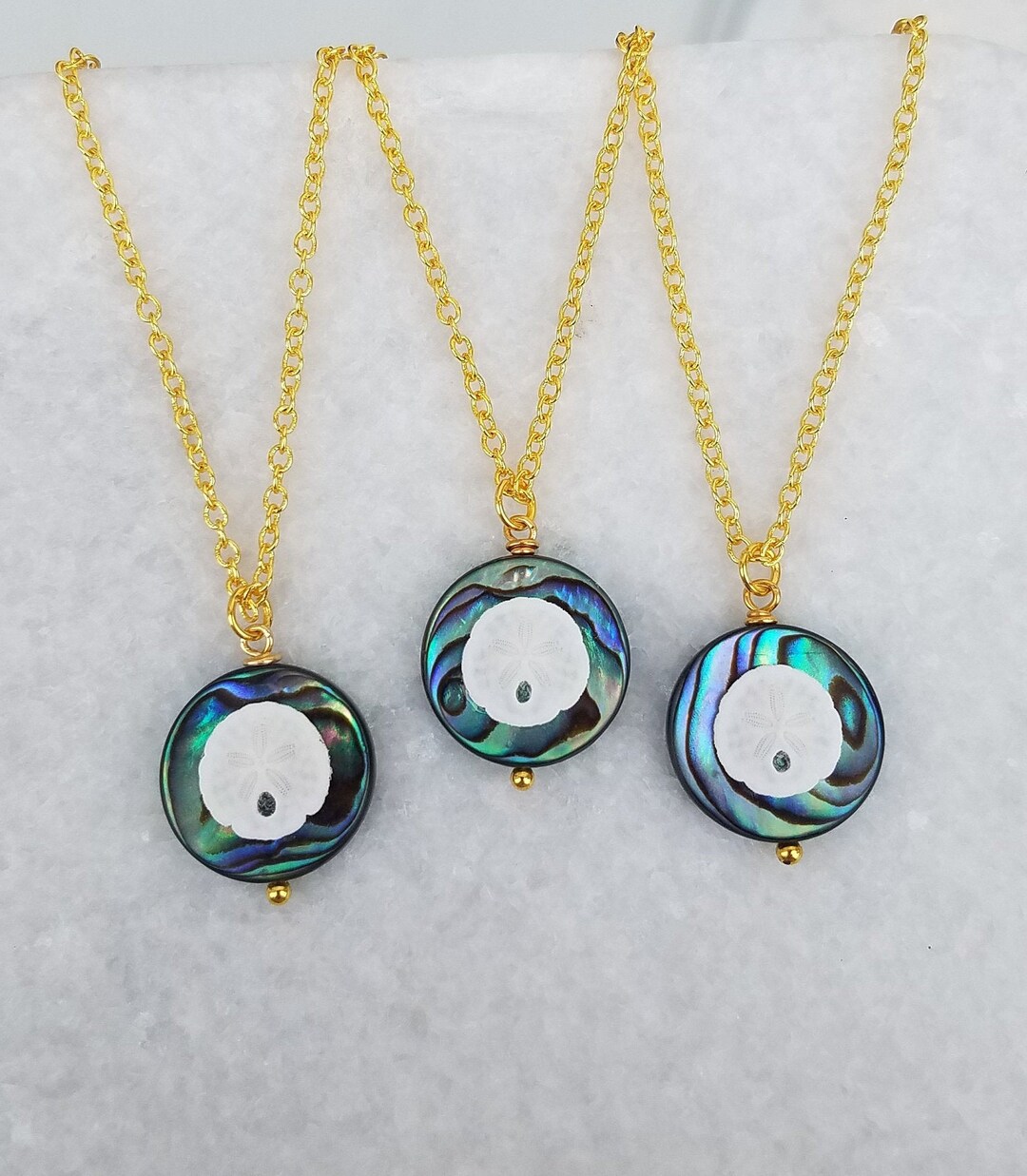 Real Natural Blue Green Abalone Shell Seashell Coin White Sand Dollar ...