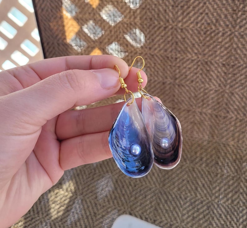 Real Natural Atlantic Ocean Blue Mussel Shell Seashell Oyster White ...