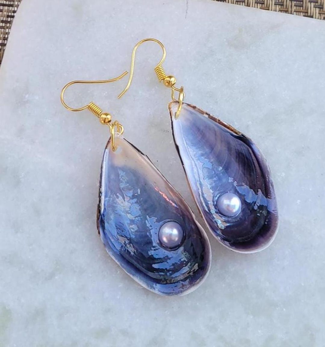Real Natural Atlantic Ocean Blue Mussel Shell Seashell Oyster White ...