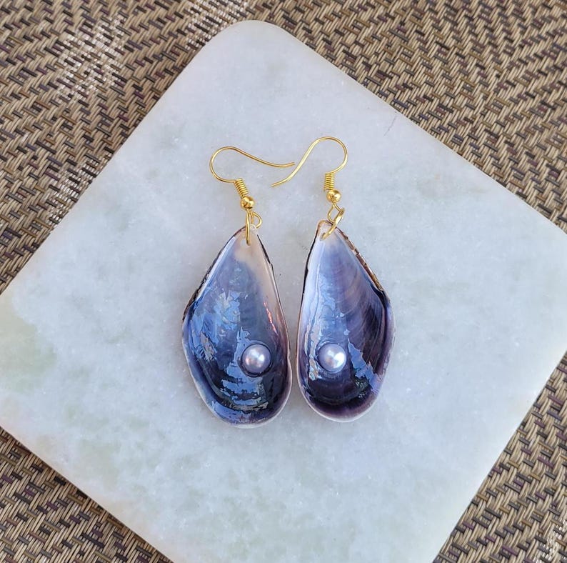 Real Natural Atlantic Ocean Blue Mussel Shell Seashell Oyster White ...