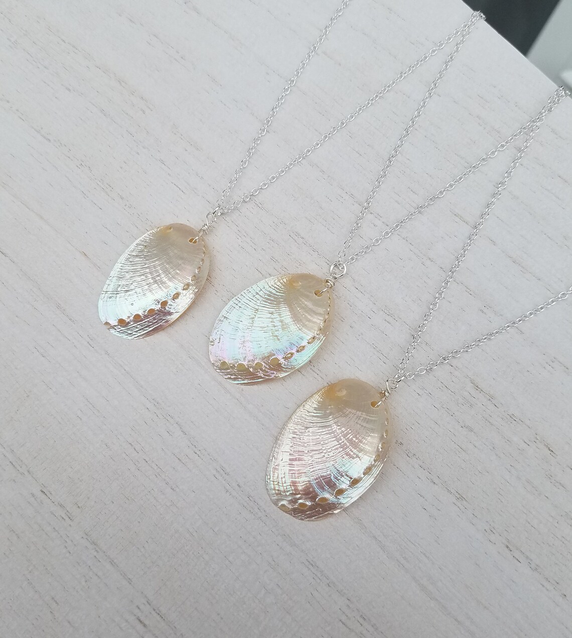 Real Natural Aura Pearlized Iridescent Rainbow Abalone Shell - Etsy