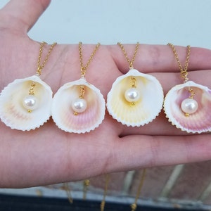 Real Natural Yellow Pink Clam Shell Seashell Scallop Florida | Etsy