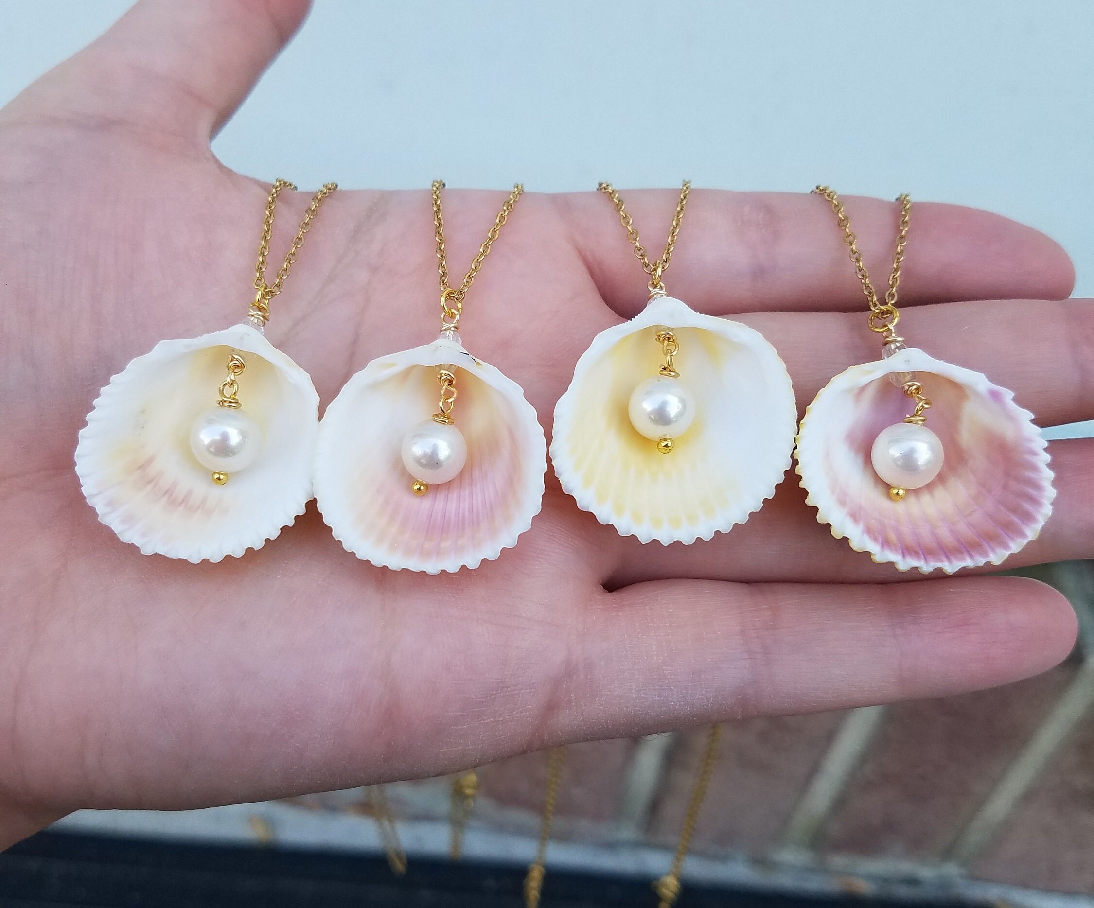 Real Natural Yellow Pink Clam Shell Seashell Scallop Florida | Etsy