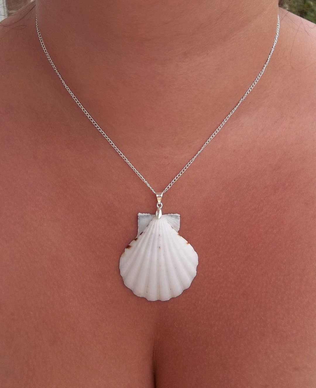 Real Natural White Scallop Seashell Shell Mermaid Ocean Beach Summer ...