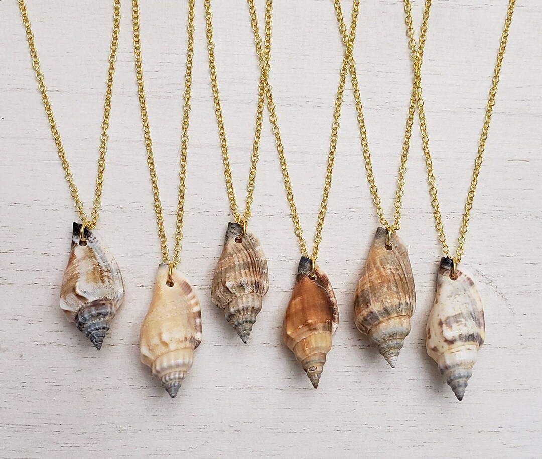 Real Natural Tan White Brown Conch Shell Seashell Horn Beach - Etsy