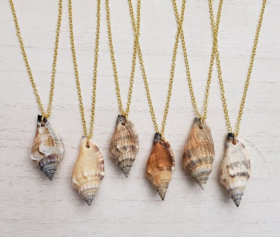 Real Natural Tan White Brown Conch Shell Seashell Horn Beach - Etsy