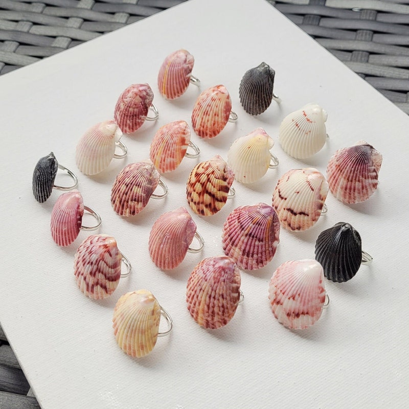 Silver Seashell Ring - Etsy