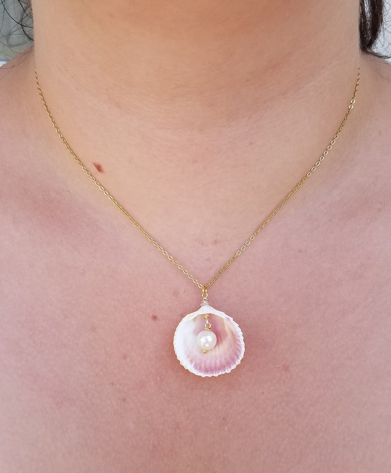Real Natural Yellow Pink Clam Shell Seashell Scallop Florida - Etsy