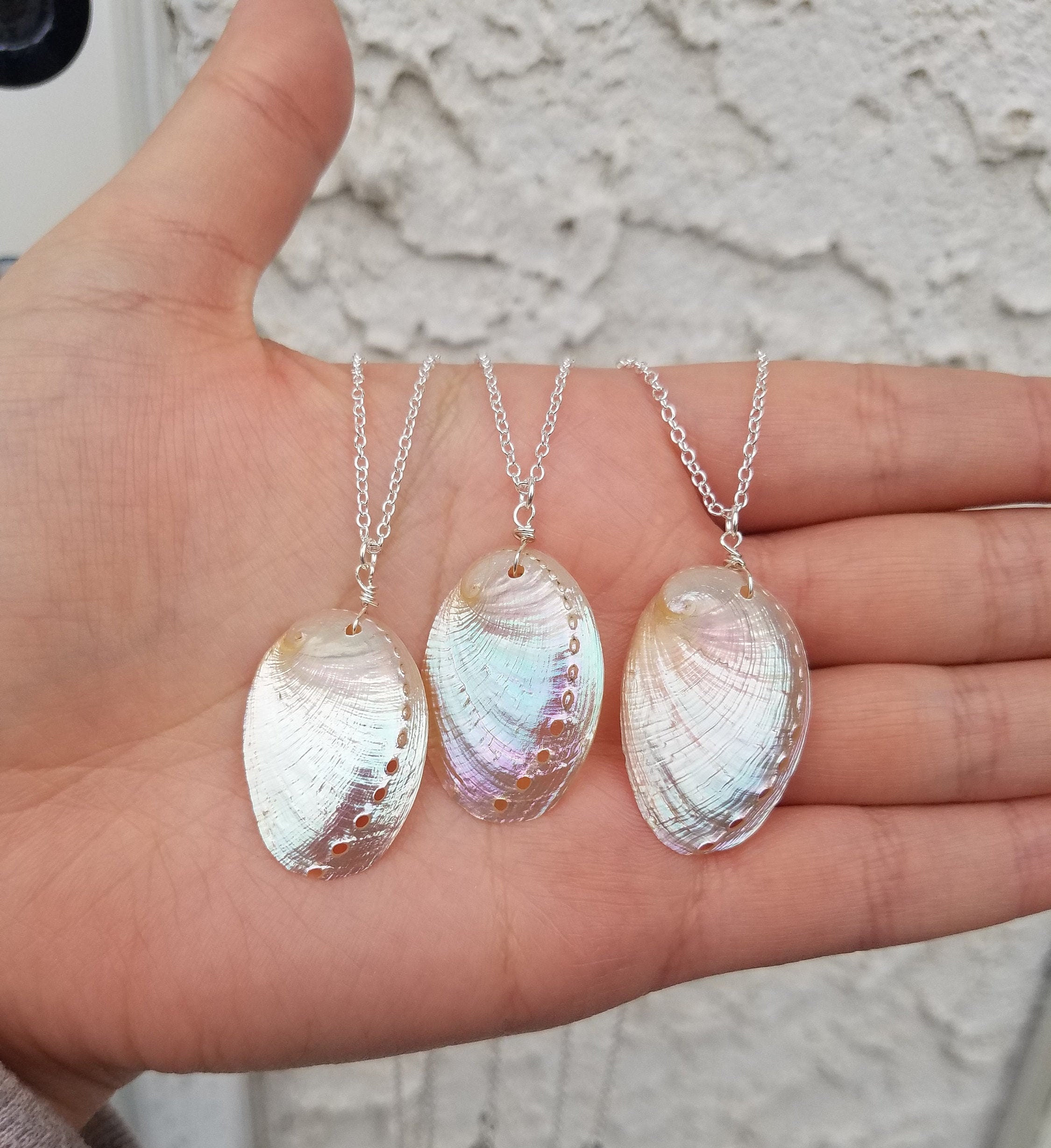 Real Natural Aura Pearlized Iridescent Rainbow Abalone Shell | Etsy