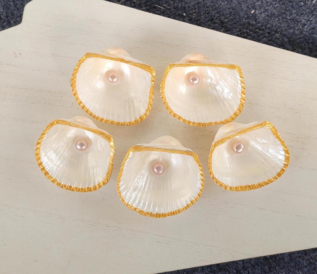 Real Natural White Iridescent 24k Gold Hand-painted Cockle Clam Shell ...