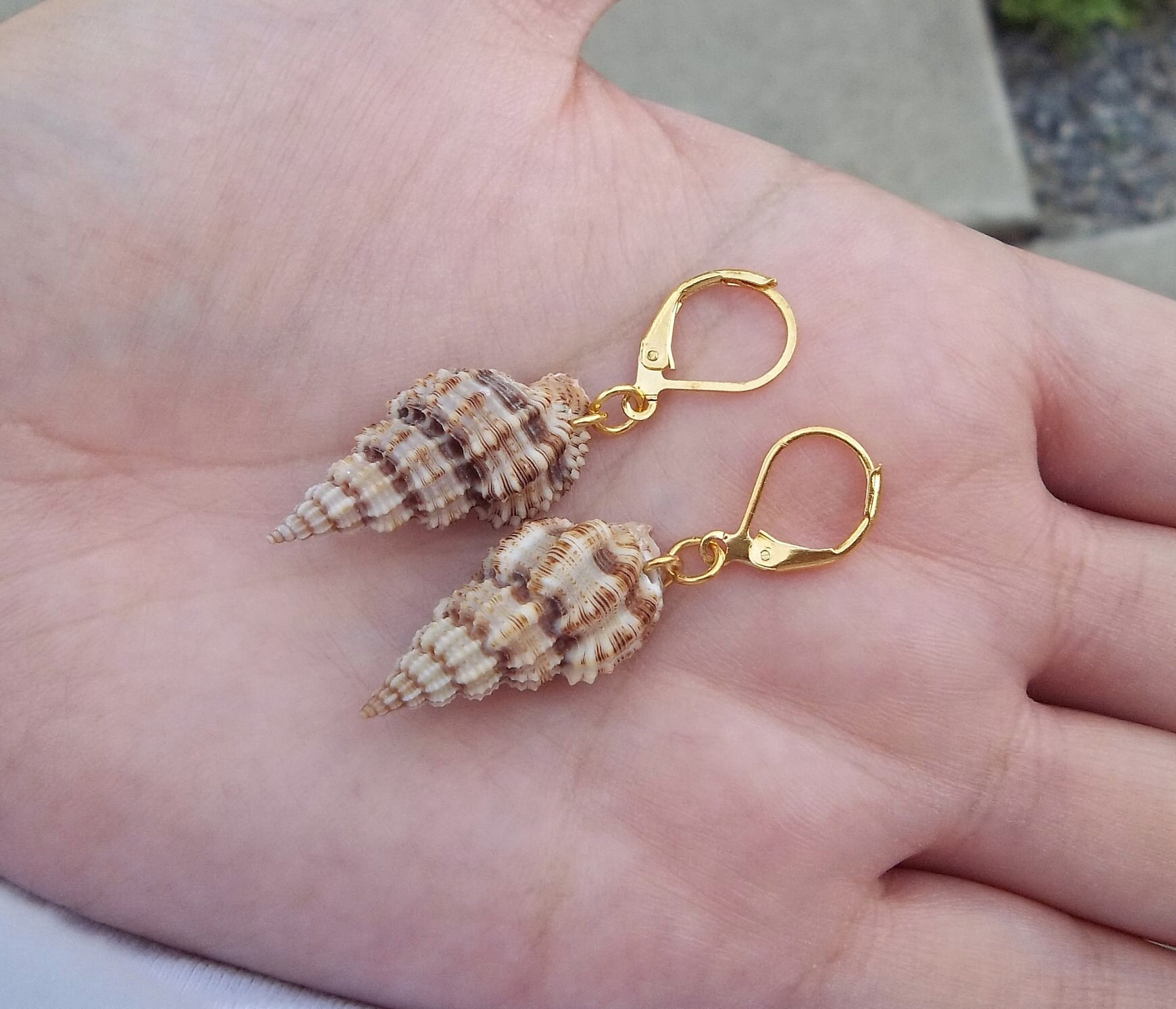 Real Natural Tan Cone Conch Shell Seashell Unicorn Horn Ocean Beach ...