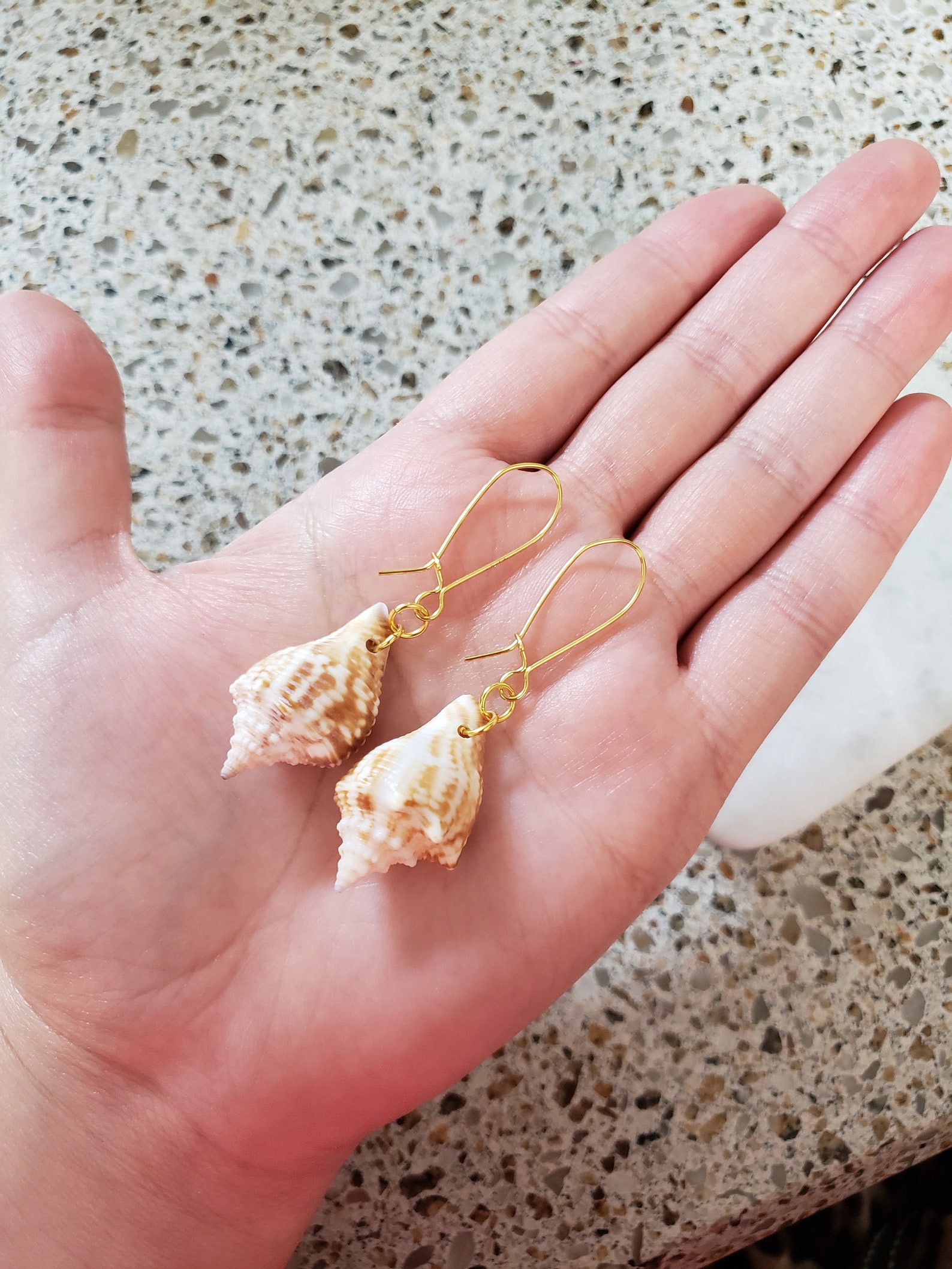 Real Natural Tan Fighting Conch Florida Shell Seashell Horn | Etsy