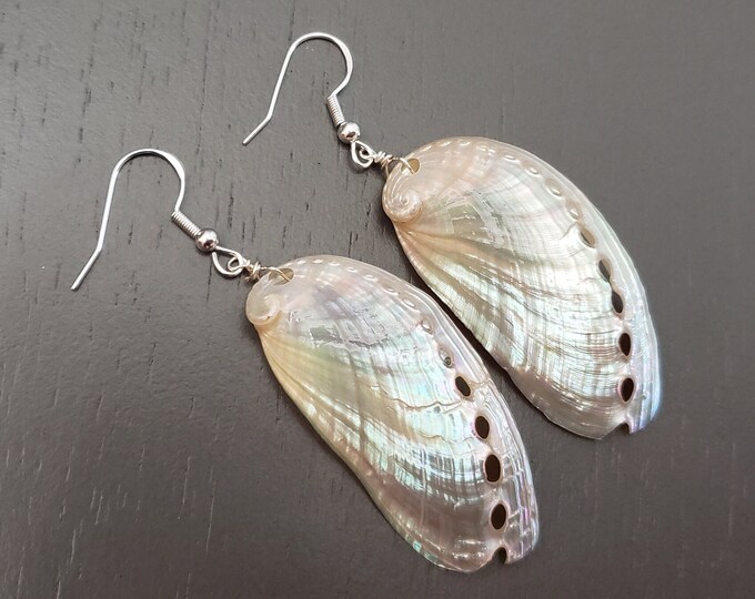 Real Natural Pearlized Polished White Abalone Shell Seashell - Etsy