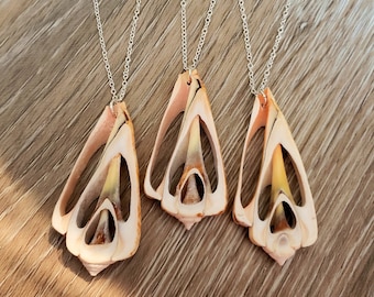 Conch Shell Necklace - Etsy